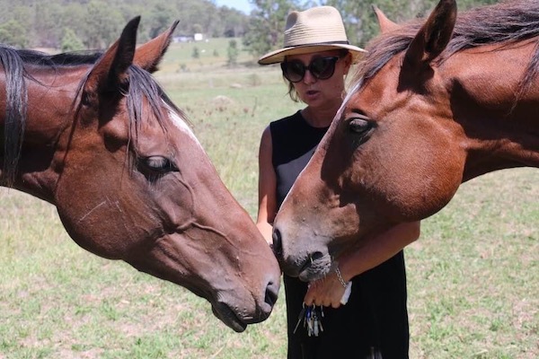 About Pegasus – Pegasus Horsemanship